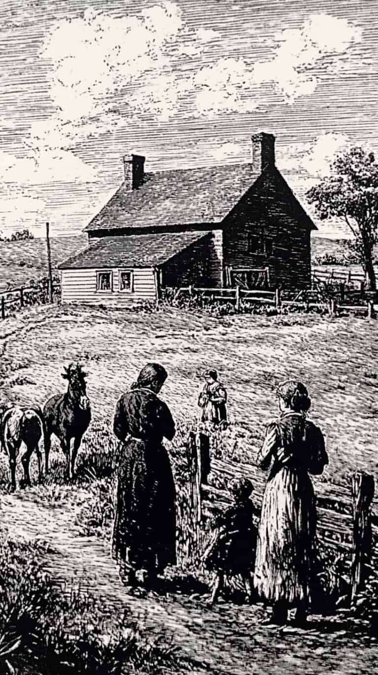 47 Farm Drawing Ideas to Capture Rural Beauty - The Sketch & Doodle Club